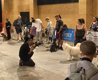 Home | First Fence Ltd